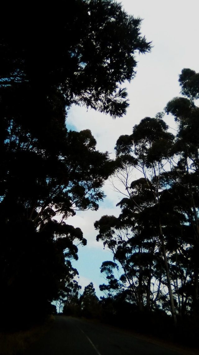 Along East Coast Resorts Amber Luff - GO! & Express