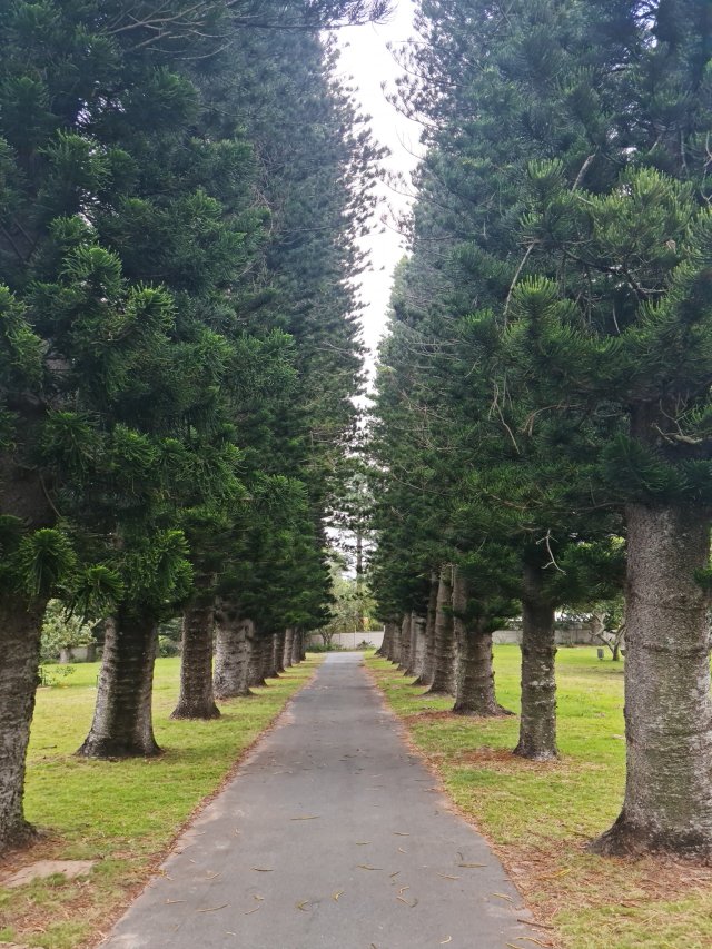 Biome garden for James Peace Park - GO! & Express