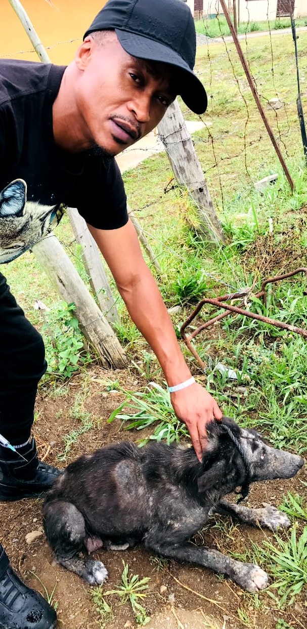 Dance, discipline and dogs: A Mdantsane story - GO! & Express
